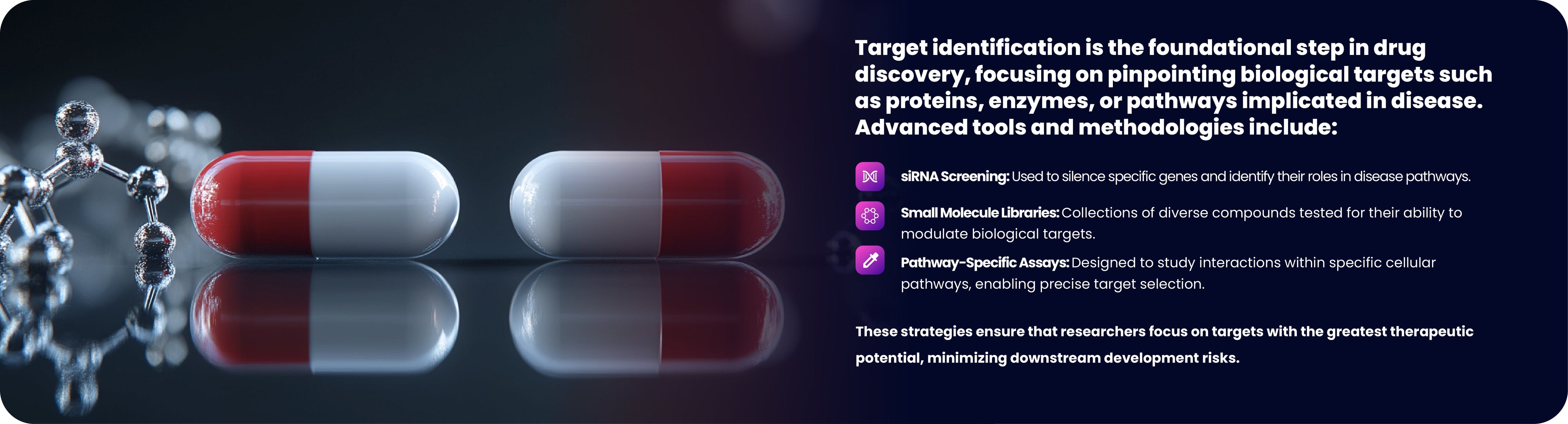 Target Identification